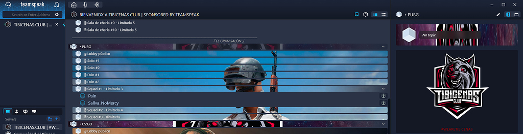 TS5 Client and server suggestions + sponsors idea - Suggestions and ...