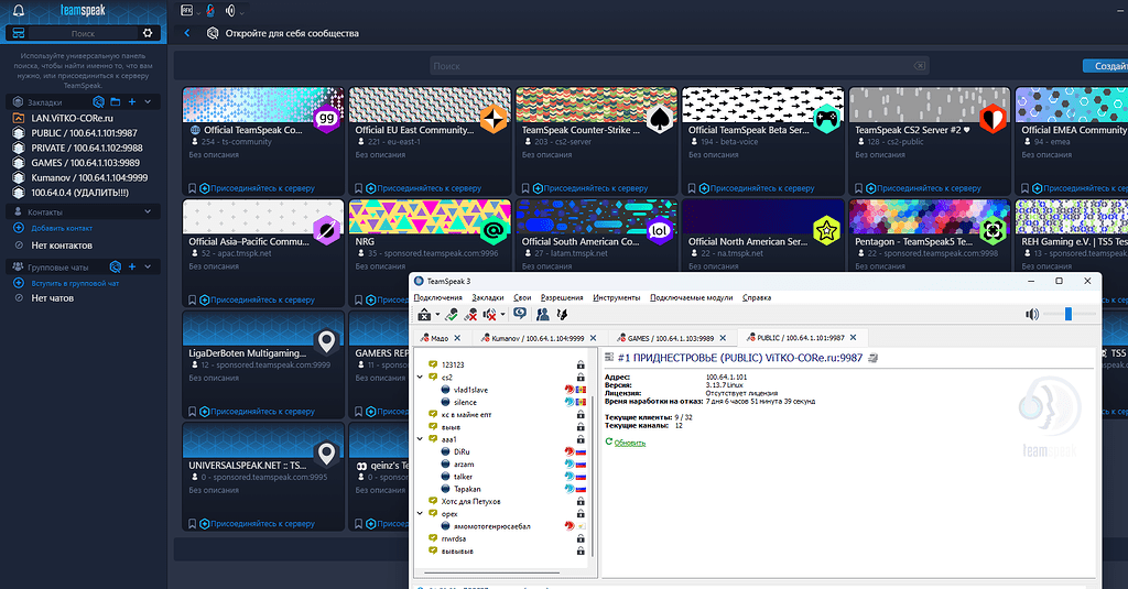 Как поделиться своим сервером? - TeamSpeak 6 Client (International ...